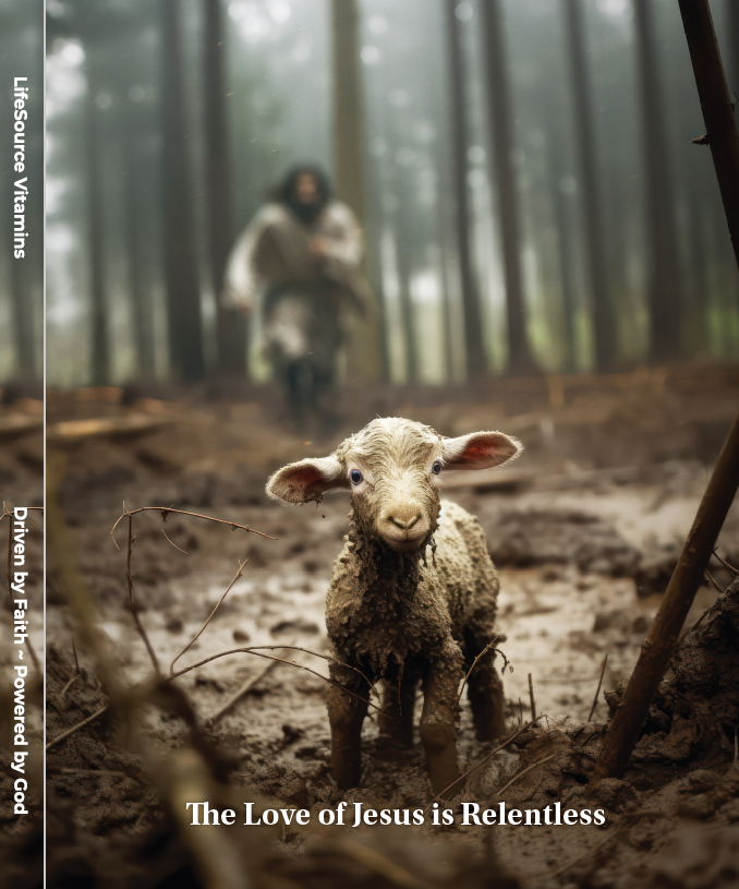 LifeSource Vitamins - Natural Rapport, THE ONLY ear wipes DOGS NEED